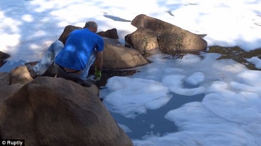 Man Creates Motorcycle That Runs on Water, a Single Liter is Good for ...