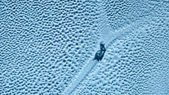 What Are These "Space Snails" on Pluto? - HIGH T3CH